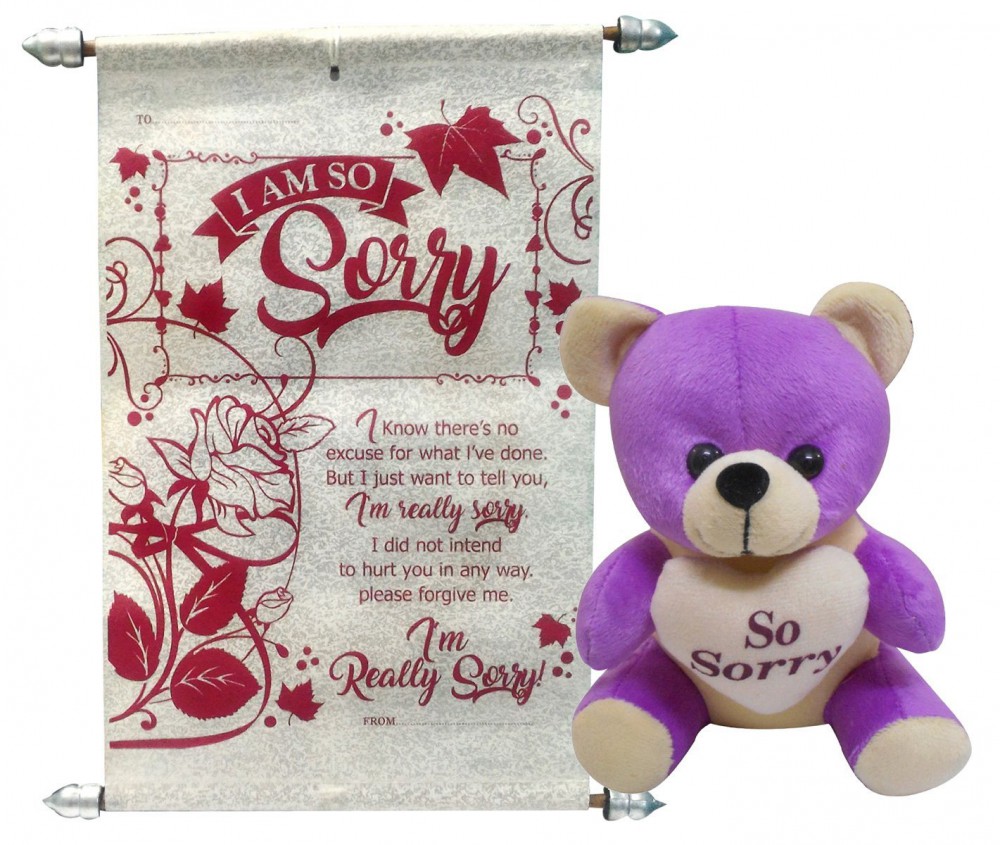 Sorry Gift Combo - Sorry Scroll Card & Soft Teddy