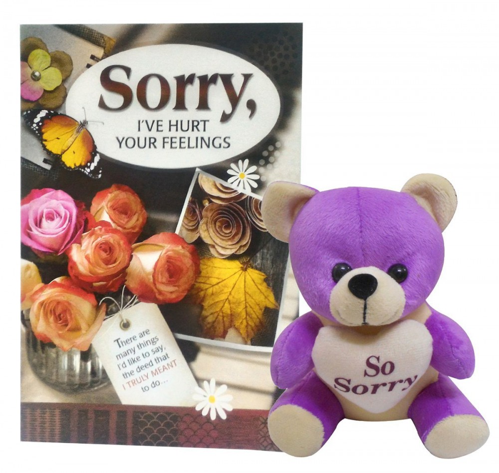Sorry Gift Combo - Sorry Card & Soft Teddy