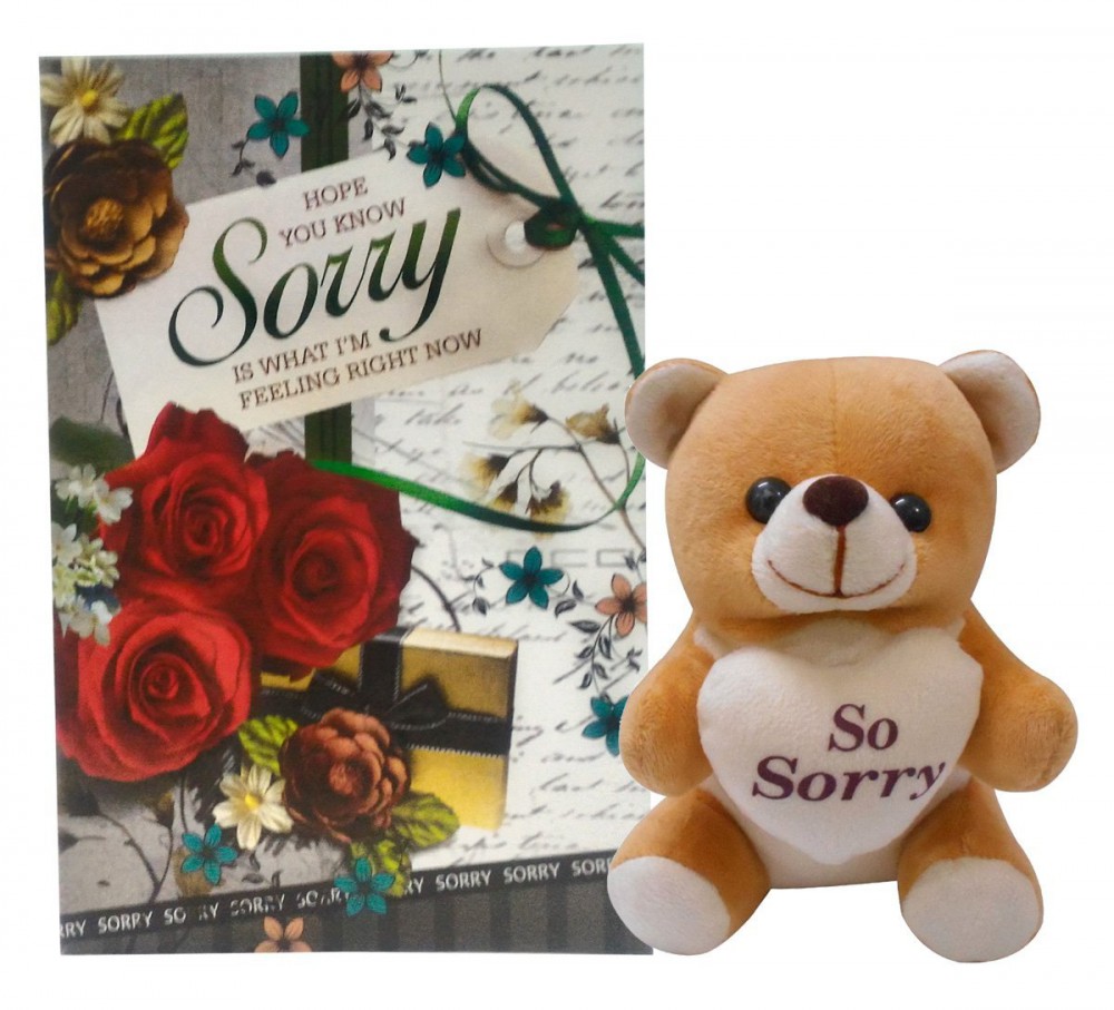 Sorry Gift Combo - Soft Teddy & Greeting Card