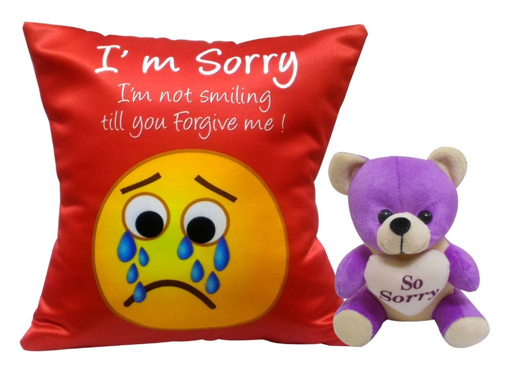 Sorry Gift Combo - Sorry Soft Teddy & Cushion Filler + Cover